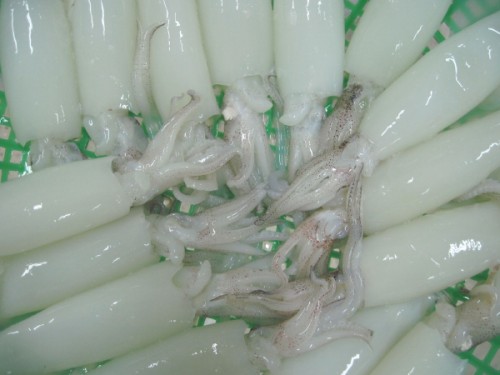 MINHKHUE SEAFOODS CO.,LTD